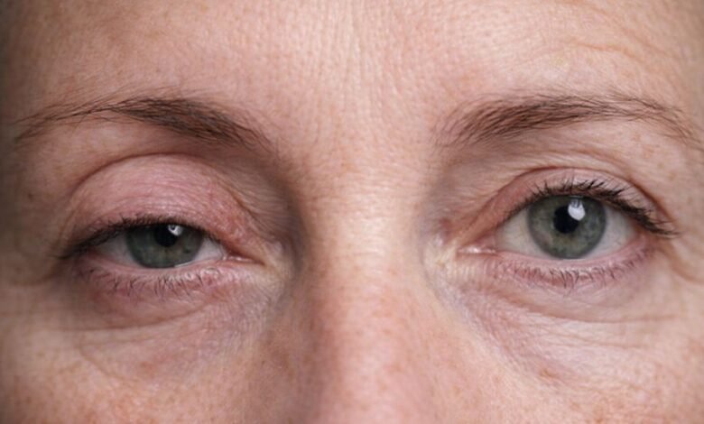 Claude Horner: A Multifaceted Identity in Art, Business, and Legacy